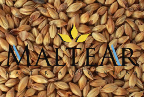 Malta Melanoidina Maltear - Hacé cerveza